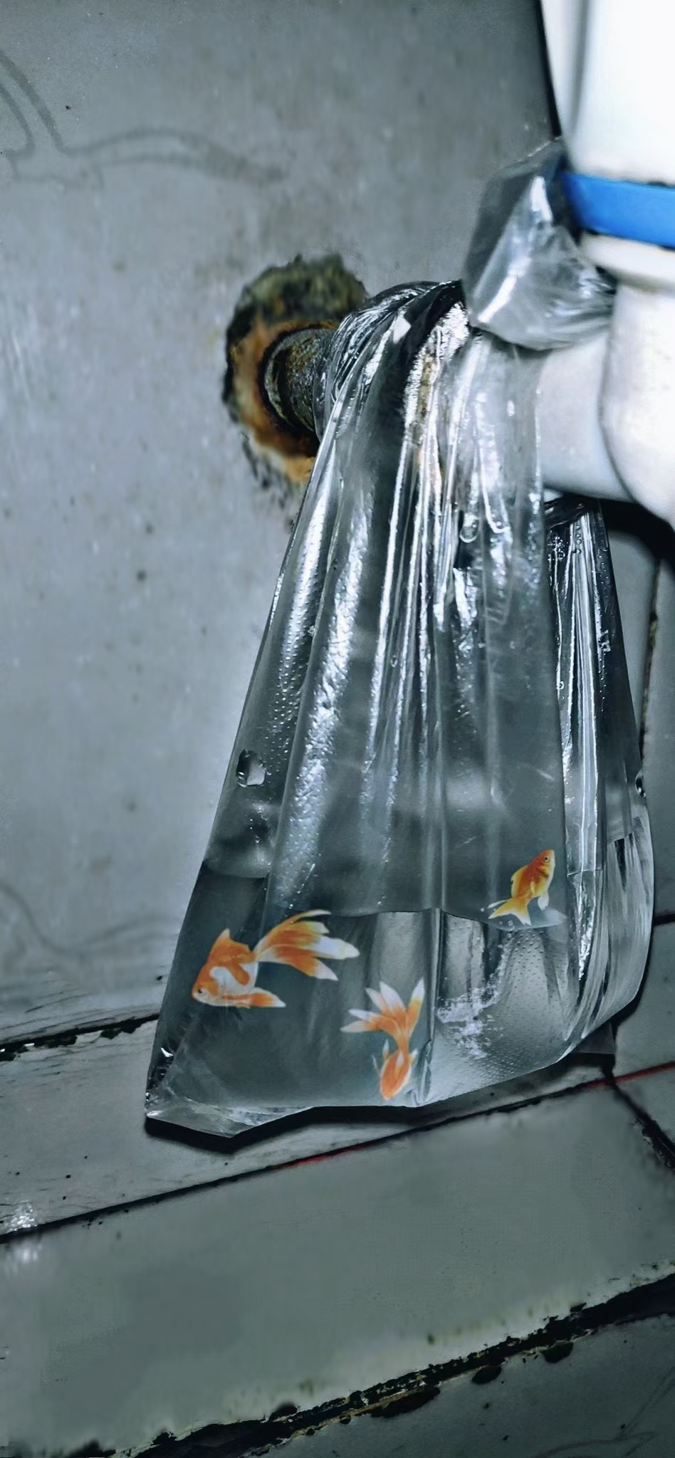 创意大片_周大文吖-站酷ZCOOL