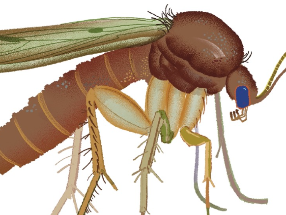 万物渺小而伟大_吞噬巨兽xuanillu-站酷ZCOOL