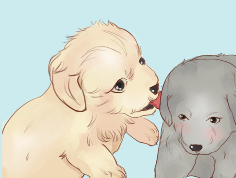 喵喵喵-汪汪汪_VVVVY-站酷ZCOOL