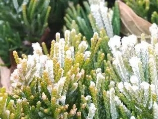 冬天又来了_YUAN是这个袁-站酷ZCOOL