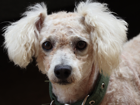 灵性_罗yaya-站酷ZCOOL