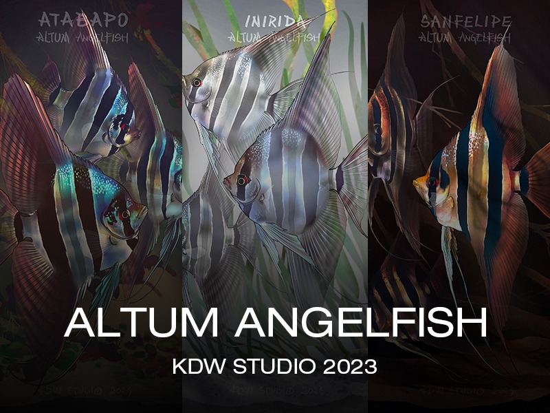 埃及神仙鱼三大流域系列插画_KDW_J-站酷ZCOOL