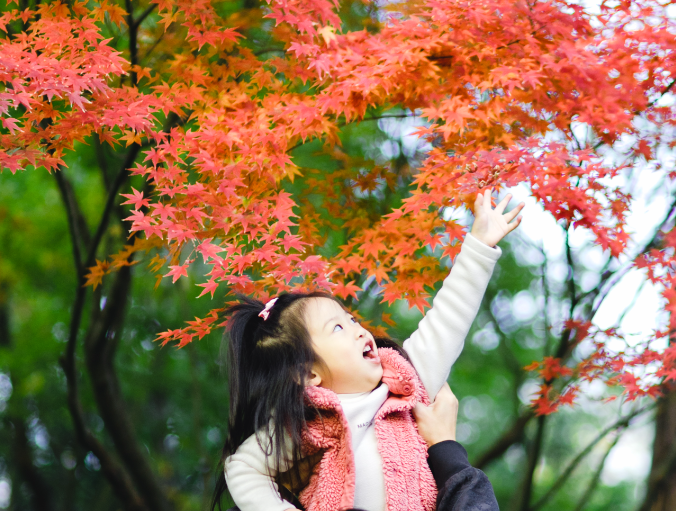 调色盘对对碰_洪小漩-站酷ZCOOL
