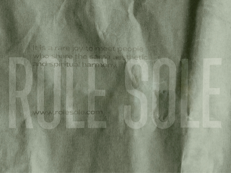 ROLE SOLE_源設計-站酷ZCOOL