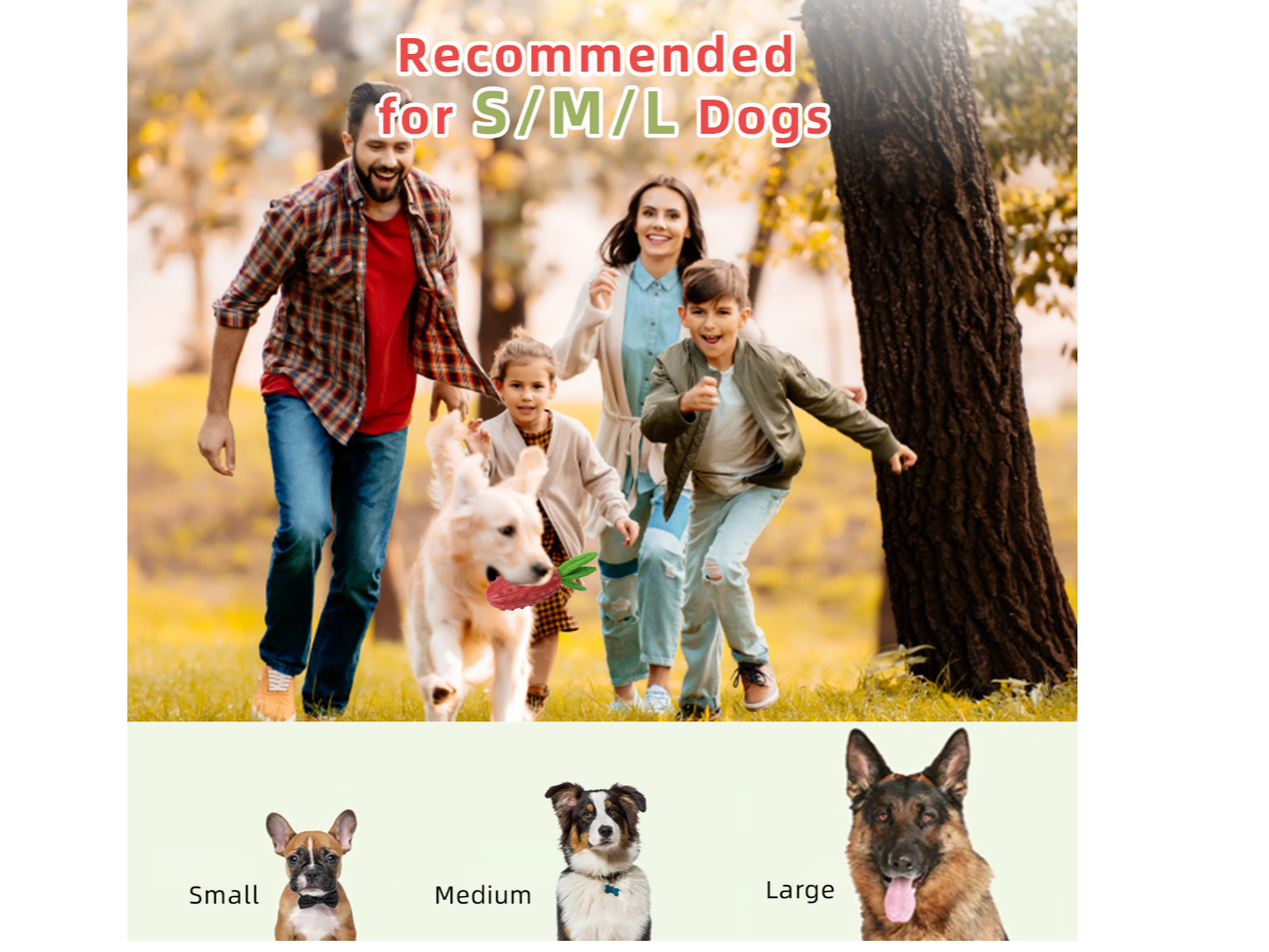 外贸宠物类_Milly追梦16-站酷ZCOOL