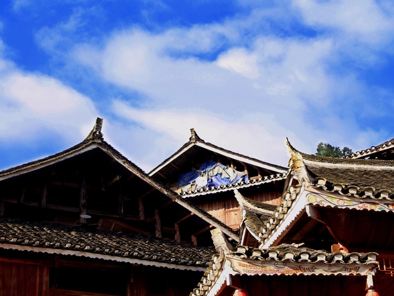 从江——堂安_ZSY_GO-站酷ZCOOL