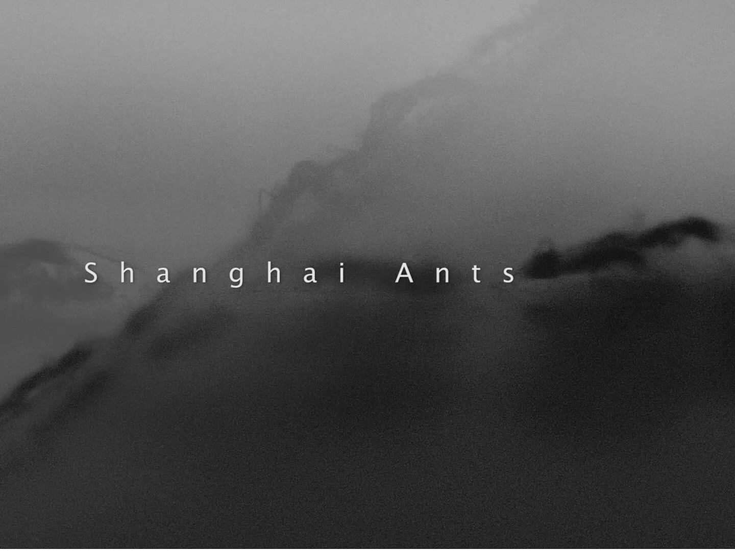 上海蚂蚁_TianHe天-站酷ZCOOL