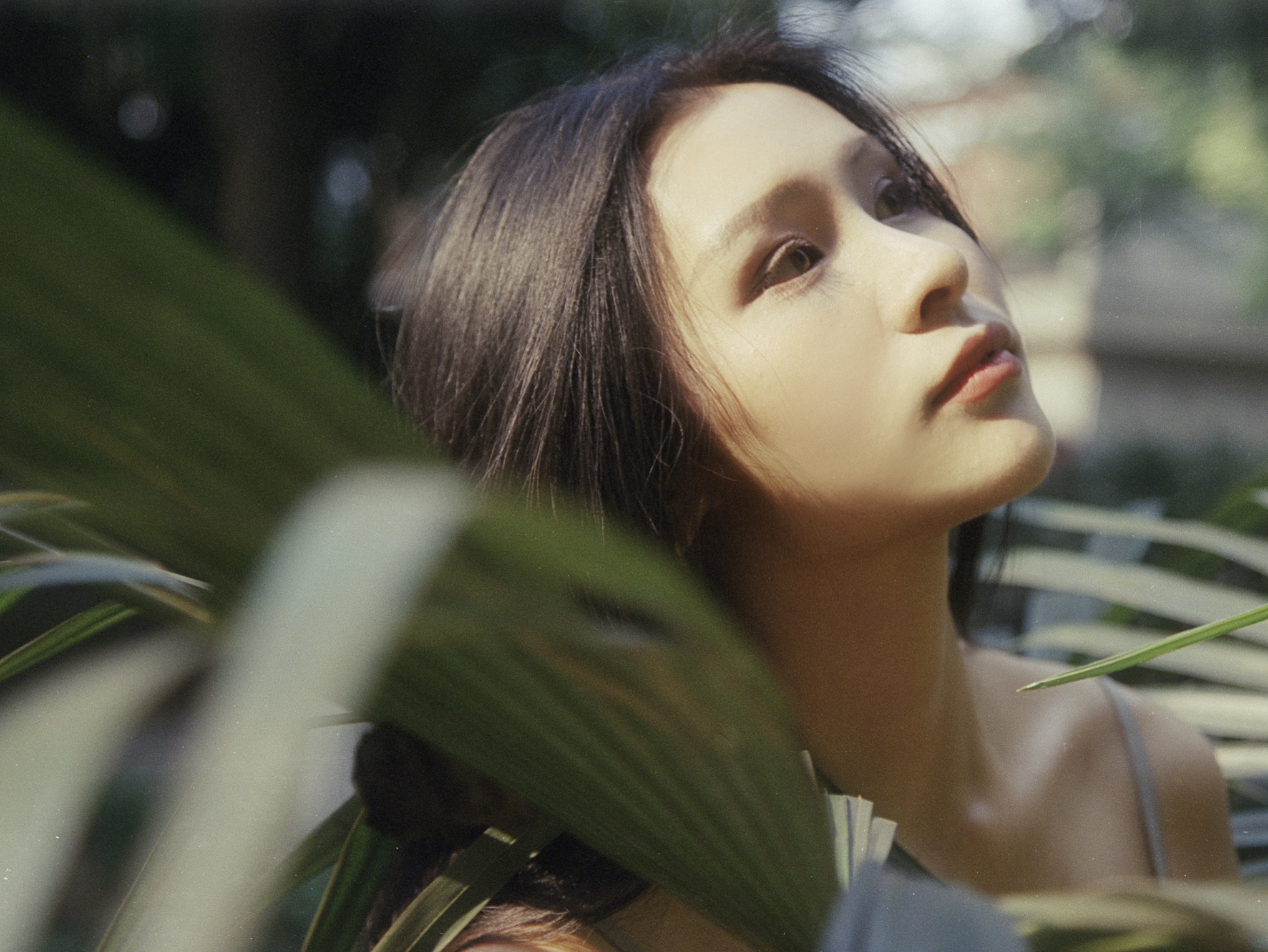 晚春_ashley_meowmeow-站酷ZCOOL