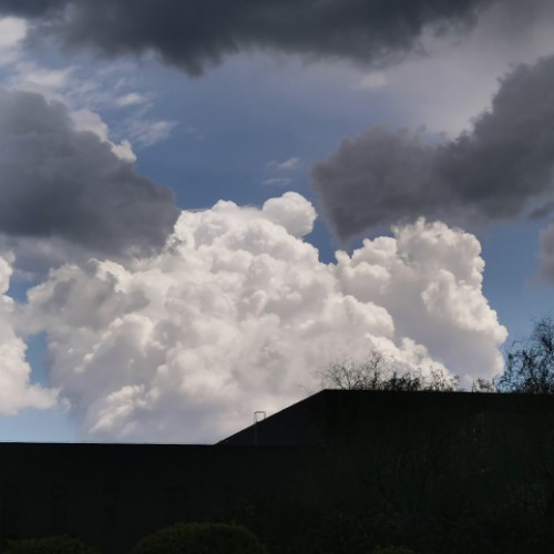 cui泡泡个人主页_哈尔滨艺术工作者-站酷ZCOOL