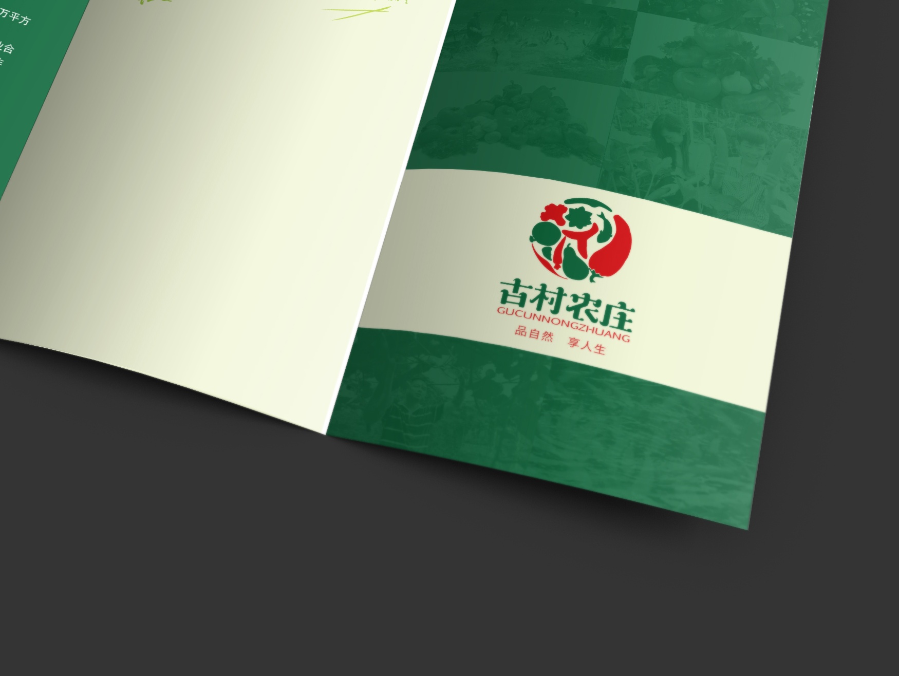 做的折页_思锐设计lianlian-站酷ZCOOL