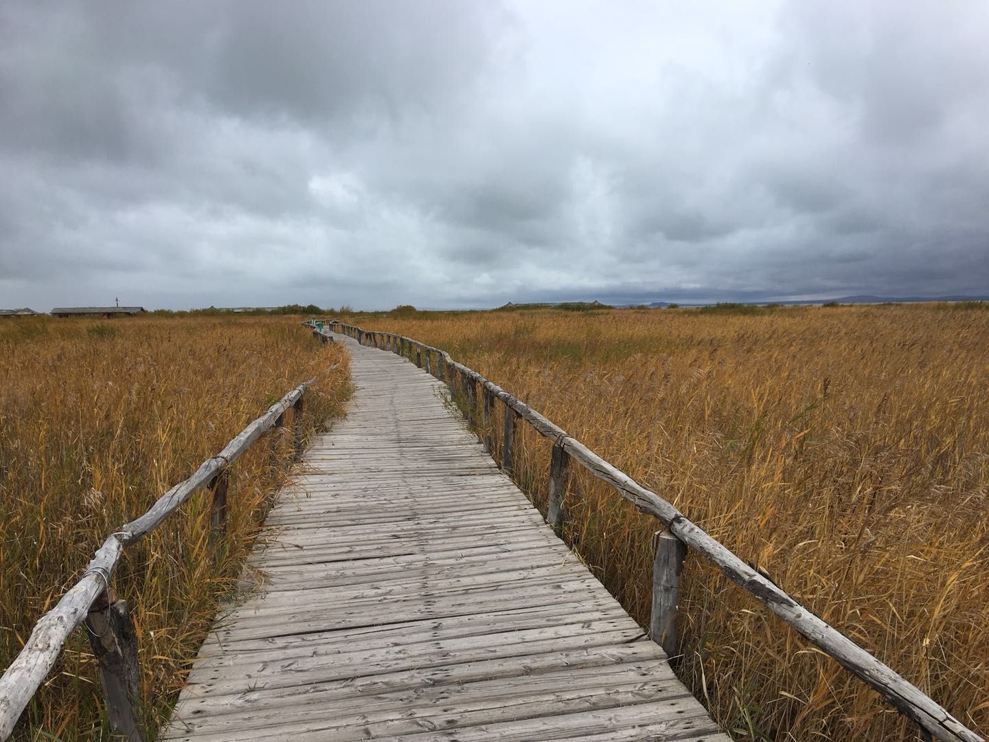 内蒙古达里湖_贝贝风铃-站酷ZCOOL