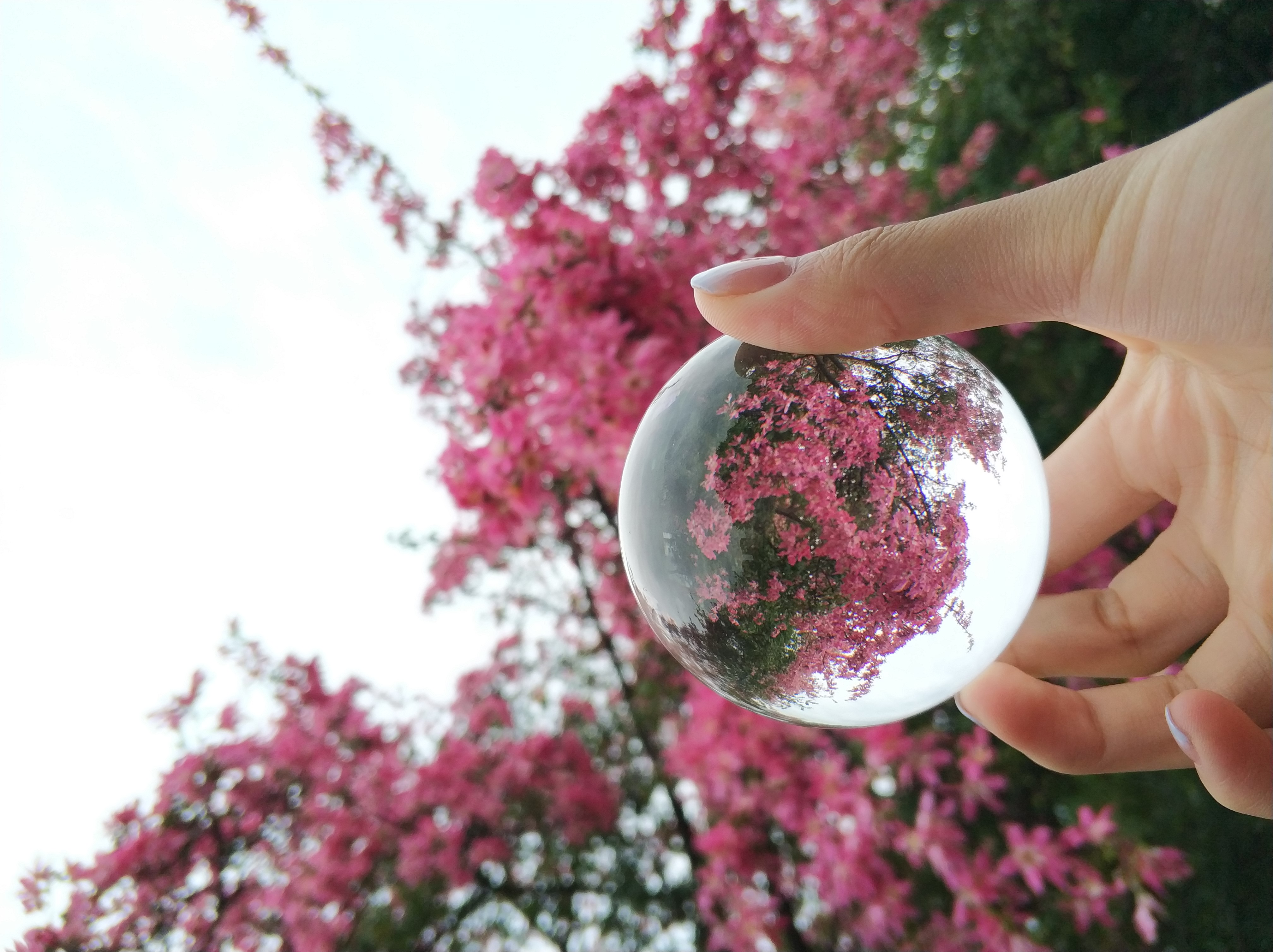 水晶玻璃球_Holly冬青-站酷ZCOOL