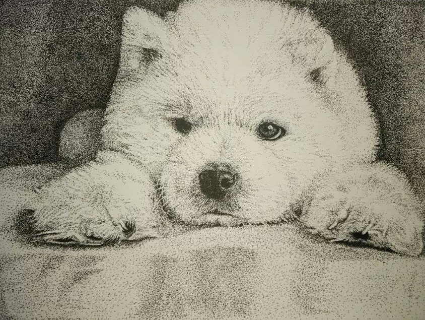 家有超萌汪星人——笨笨_vivi尤微米-站酷ZCOOL