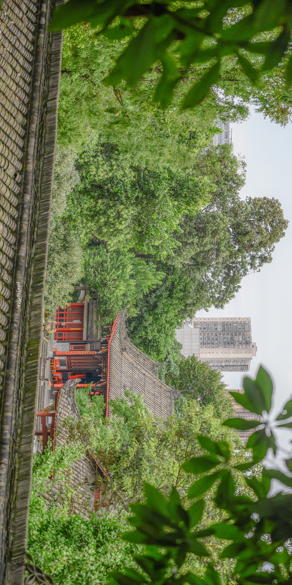 青羊宫_Z154430190-站酷ZCOOL