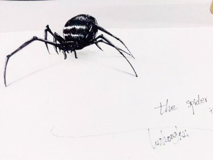 街头3D画 纸上3D画_SOUL_K-站酷ZCOOL