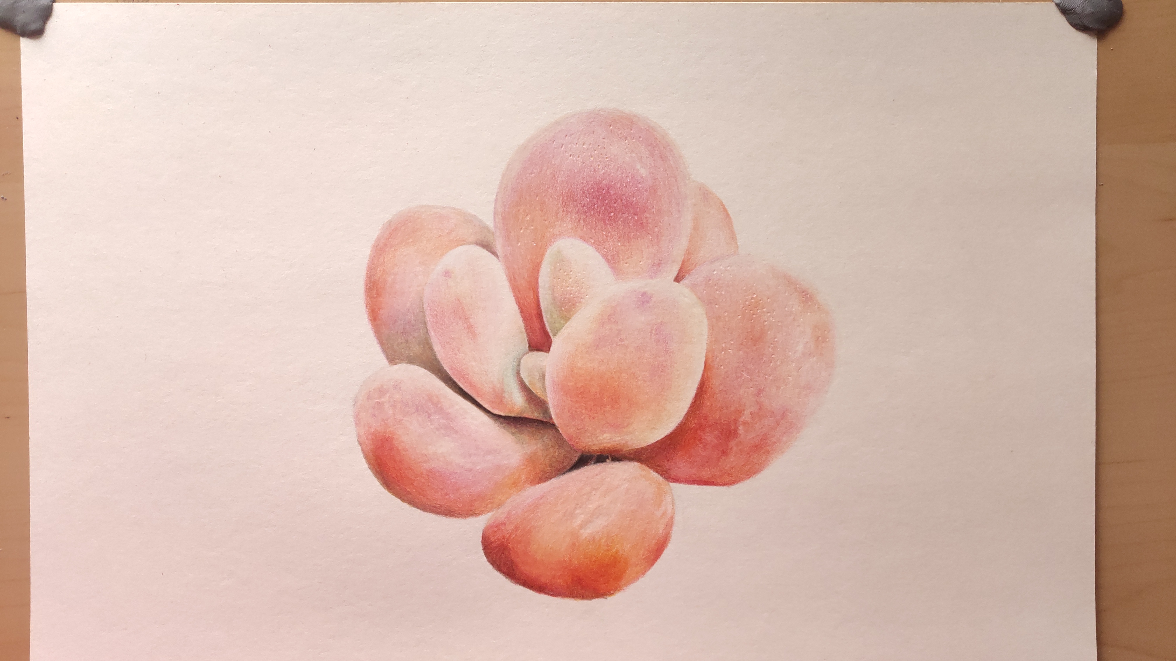 分享几张最近的小画_杨健_Yn-站酷ZCOOL