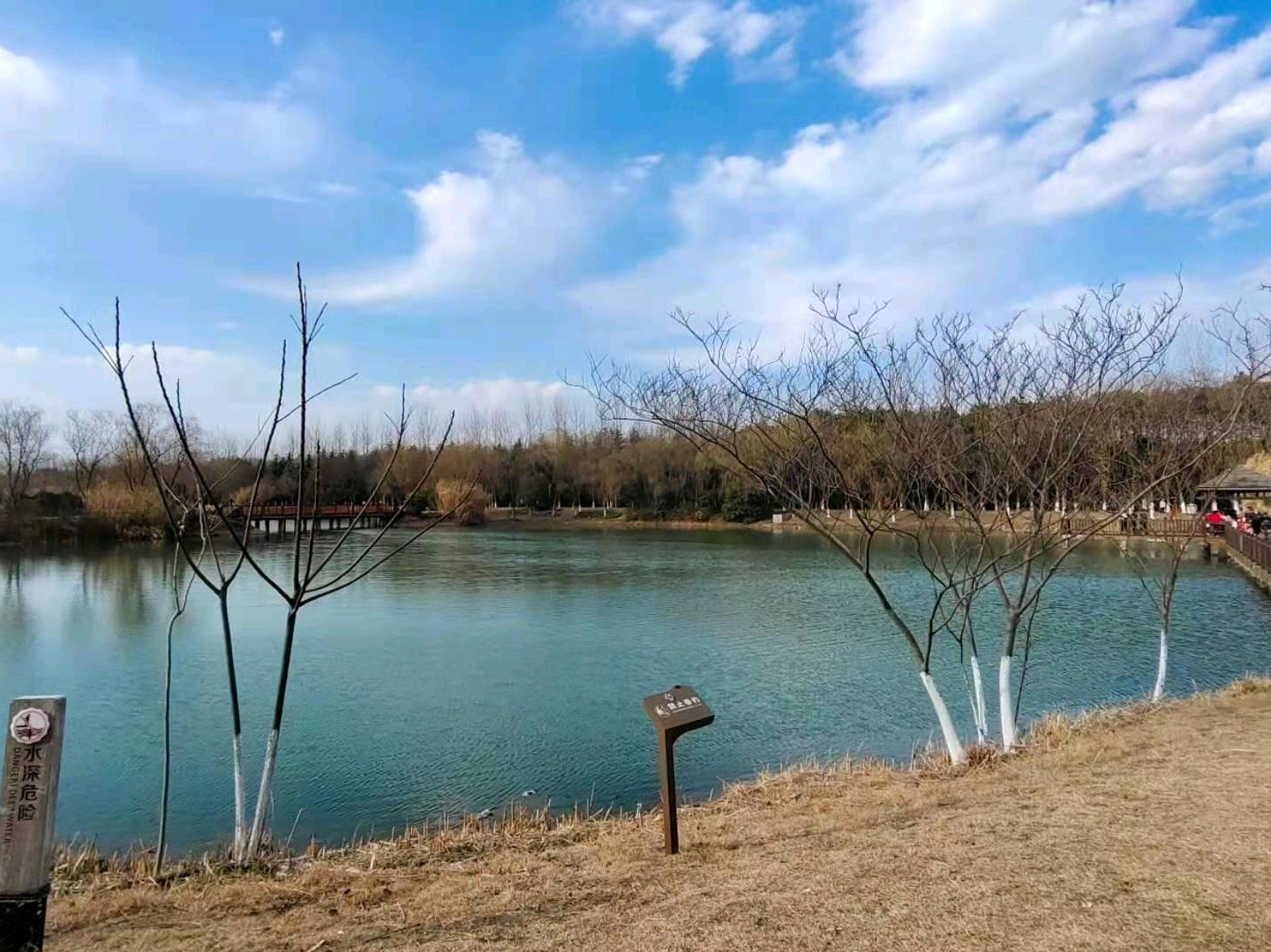 花桥_nianfei-站酷ZCOOL