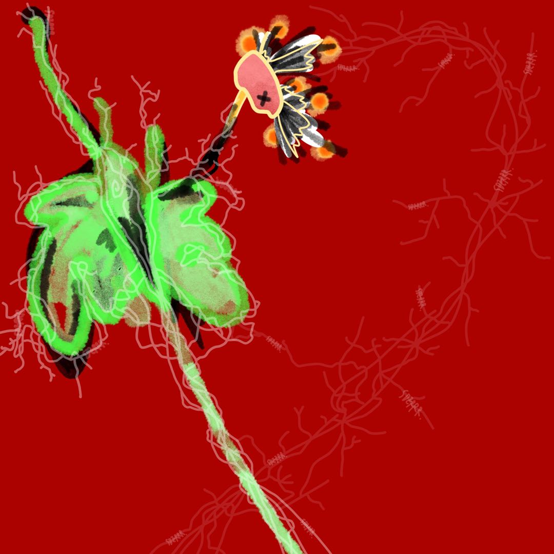 秘密复活_sderrr-站酷ZCOOL