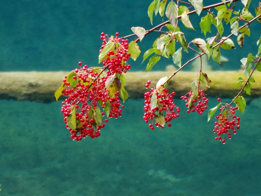 屏中景之二_DKKKK-站酷ZCOOL