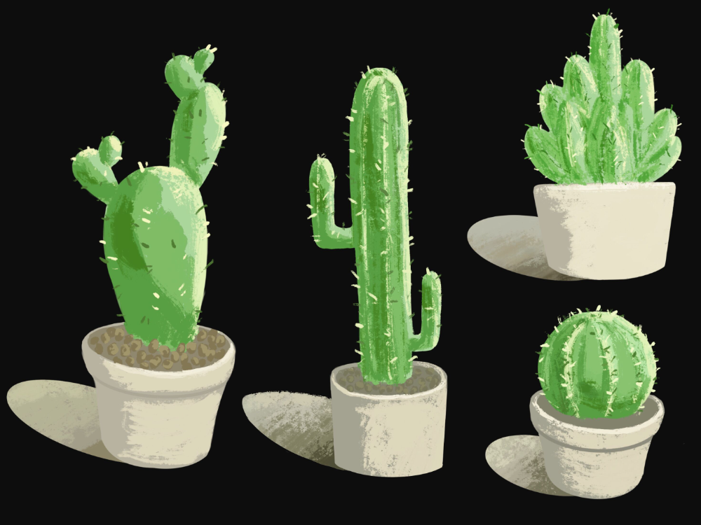 仙人掌_Meng火锅-站酷ZCOOL