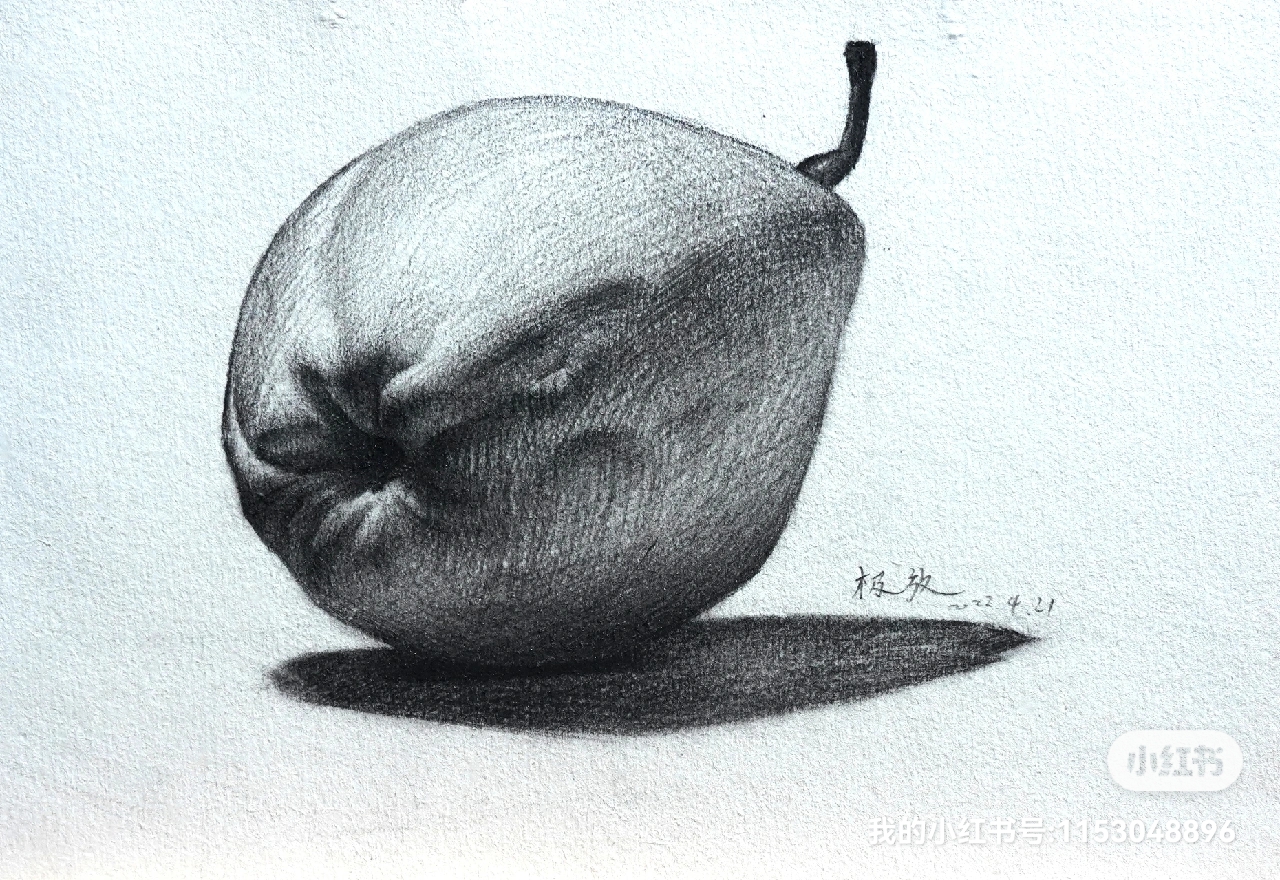 单个静物素描_极放-站酷ZCOOL