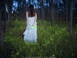 萤火虫之恋_one_neo-站酷ZCOOL