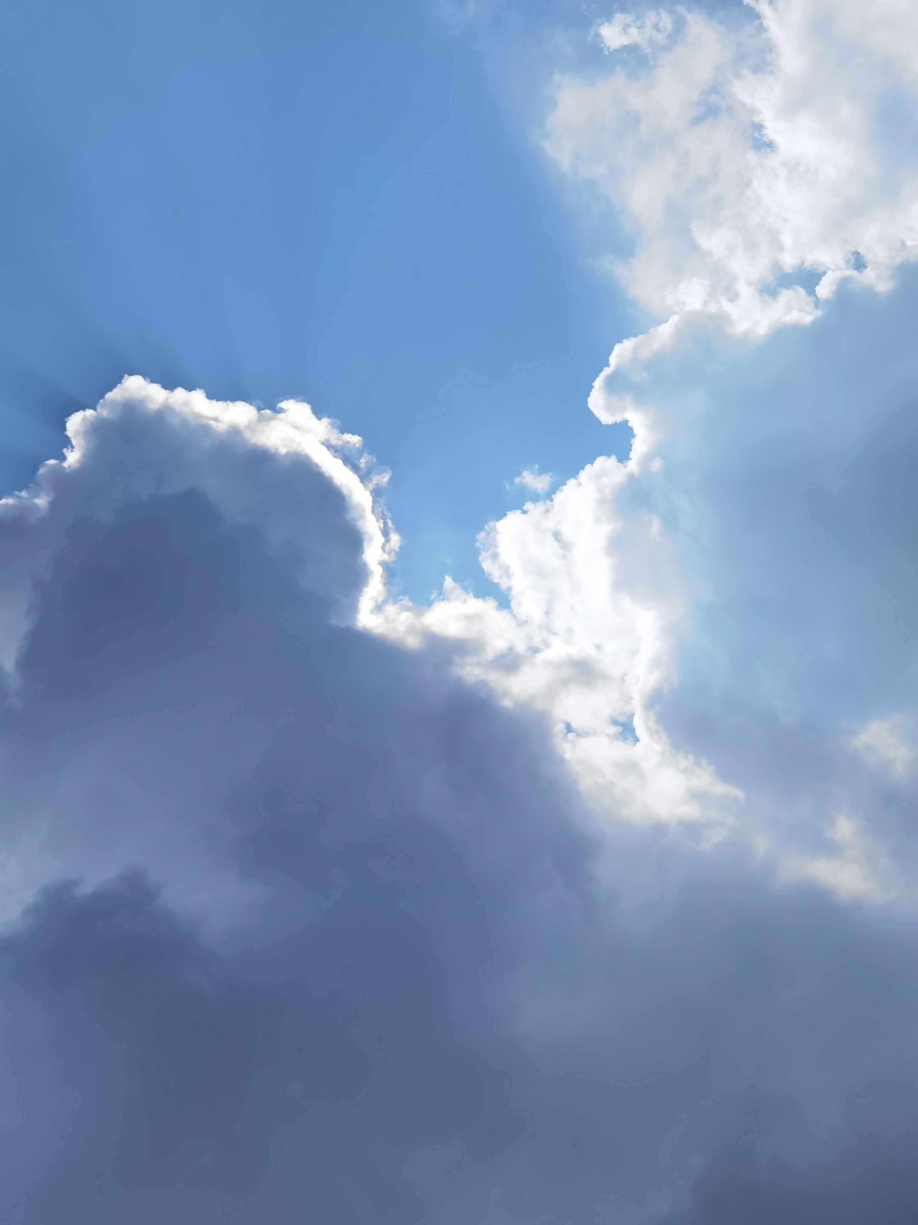 丁达尔_睡眠艺术家x-站酷ZCOOL