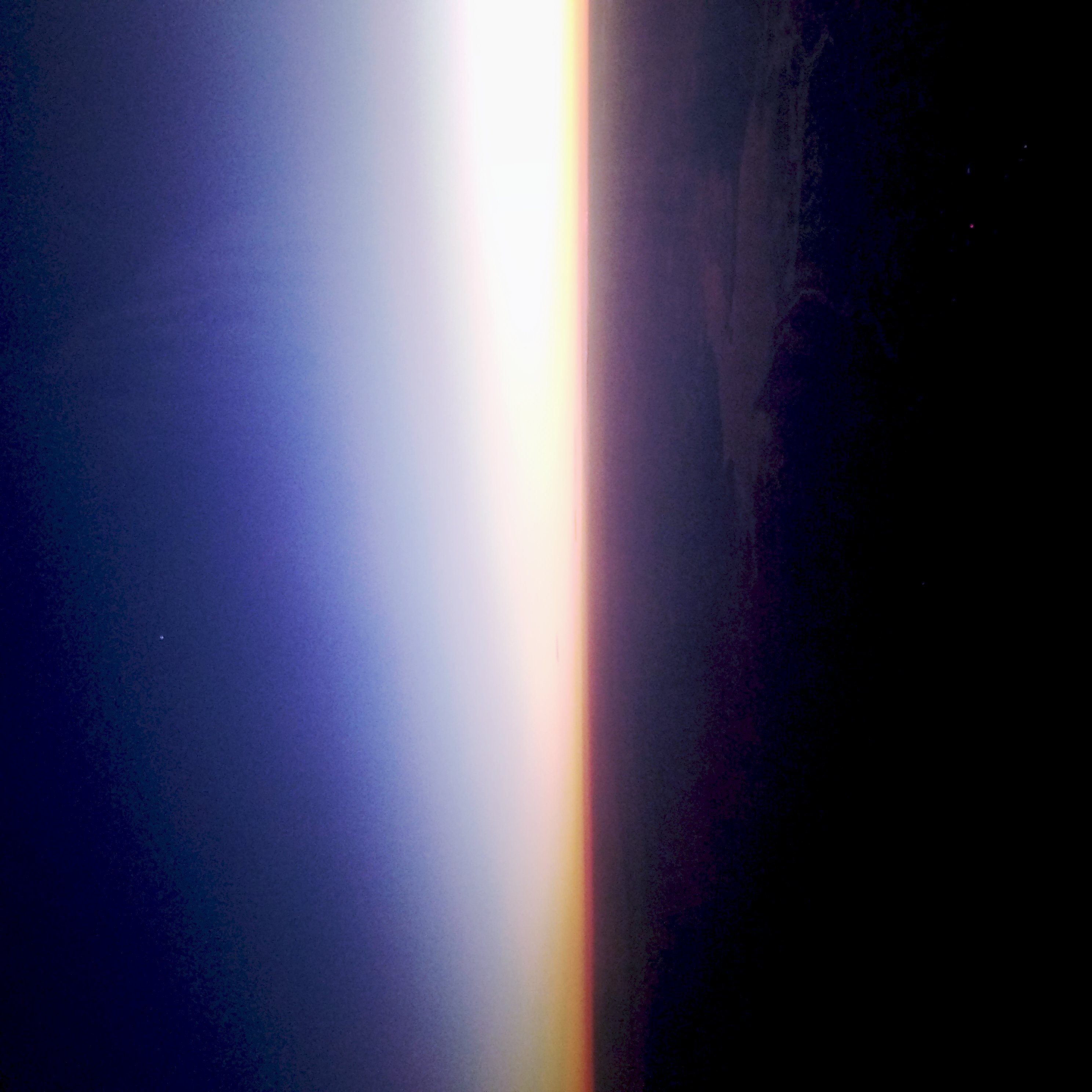 Day 185 热爱即本能。_爱设计的Alex-站酷ZCOOL