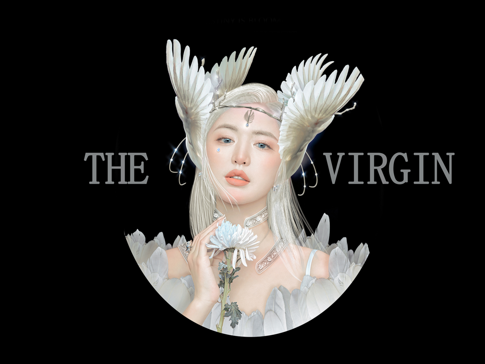 圣_金乌鸦123-站酷ZCOOL