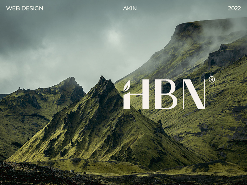 HBN官网视觉升级_设手阿金-站酷ZCOOL