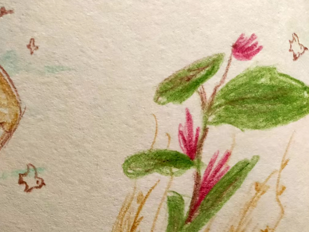 手绘打卡D4_怡宝易拉罐-站酷ZCOOL