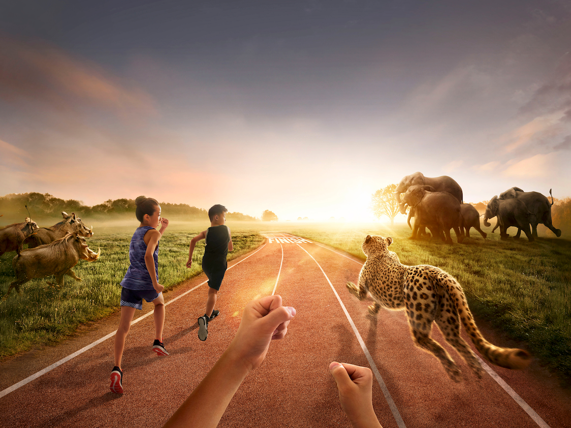 沈阳国家地理探险家中心_像素坊ADIT-站酷ZCOOL