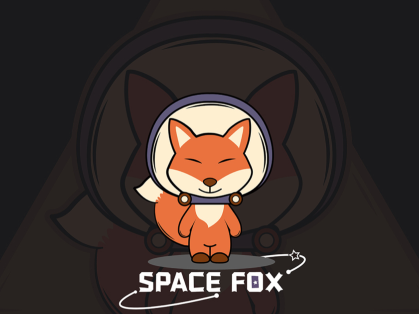 【原创IP】SPACE FOX 太空狐 」酒店/民宿 IP形象设计_Artemis_-站酷ZCOOL