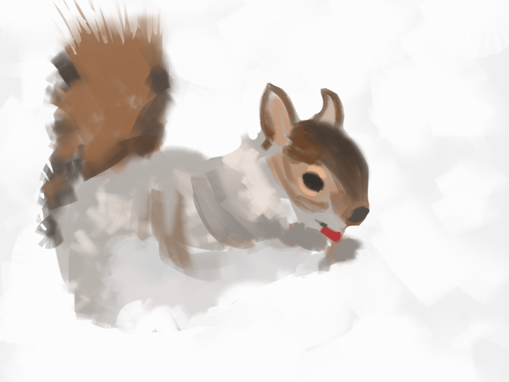 冬日插画4-松鼠_angerula-站酷ZCOOL