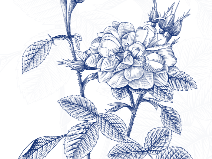 原创插画 | 版画花卉合集_jia个布-站酷ZCOOL