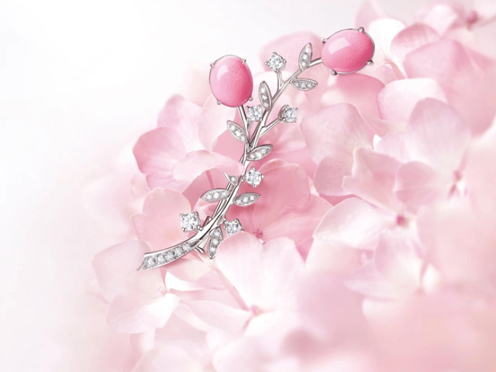 创意 珠宝 画面 设计 _Ella_Ning-站酷ZCOOL