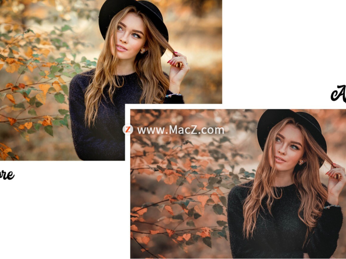 15个秋季高级摄影效果lr预设_醉舞千年杯莫停-站酷ZCOOL