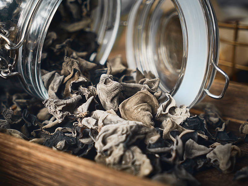 木耳_飞鸟与咸鱼-站酷ZCOOL