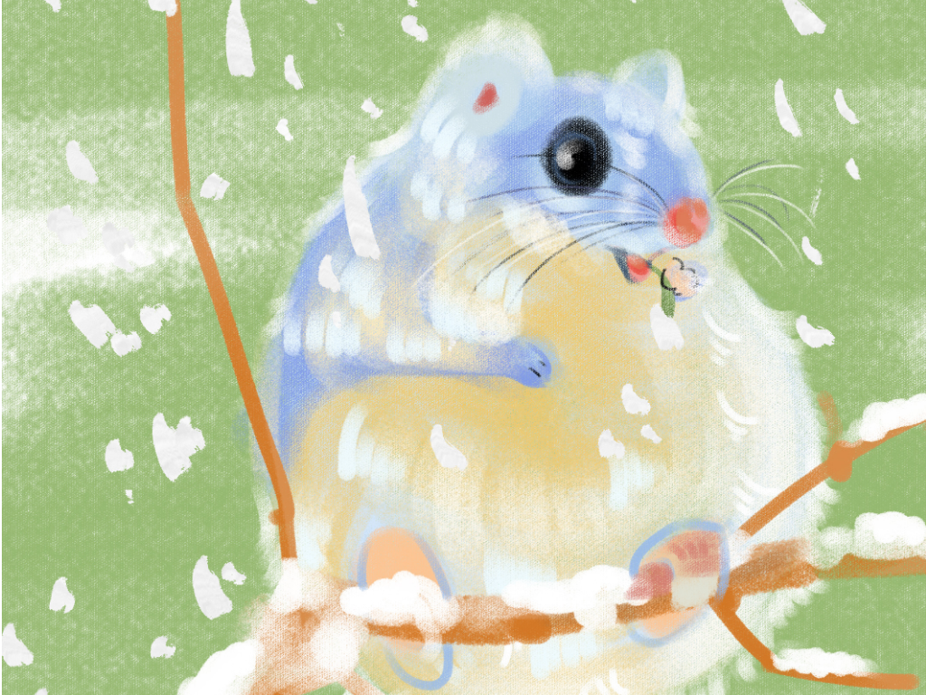 鼠你最美_Jolie丛小姐-站酷ZCOOL