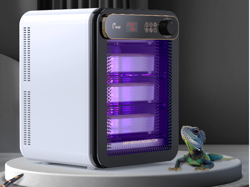 两栖孵化器_Zollan-站酷ZCOOL