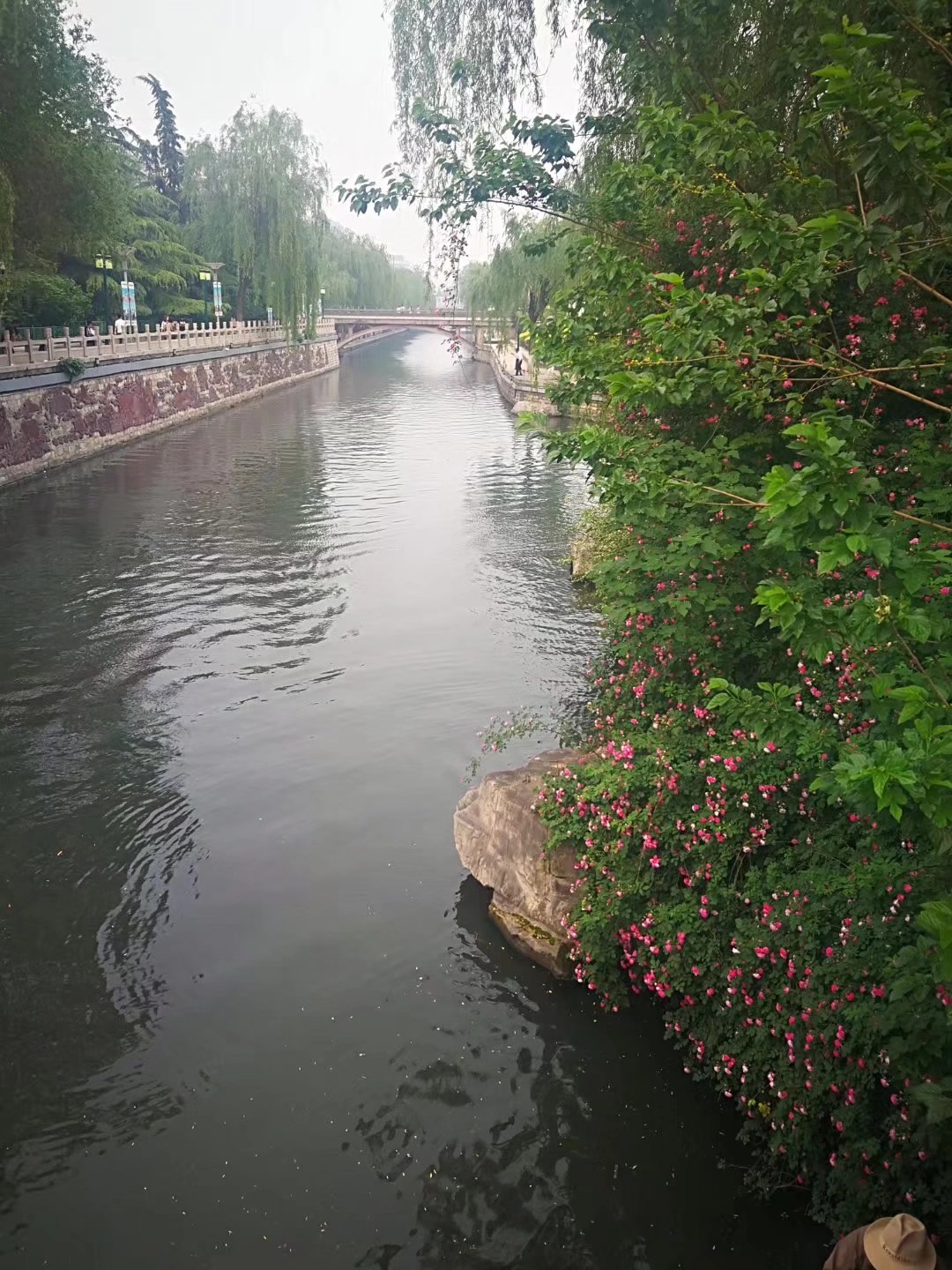 济南_Queenie贵妮儿-站酷ZCOOL