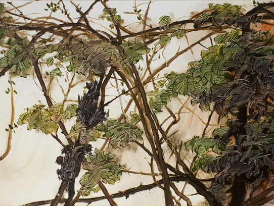 油画-三叶梅_时雨美术RAINART-站酷ZCOOL