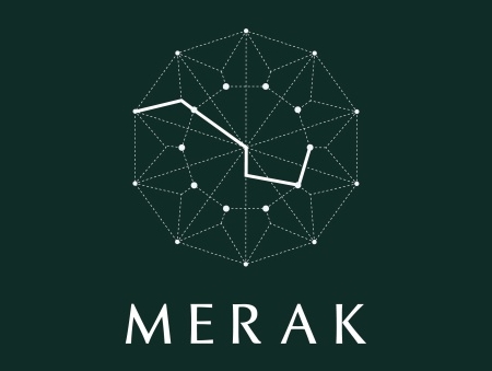 merak觅星科技_arashitic-站酷ZCOOL