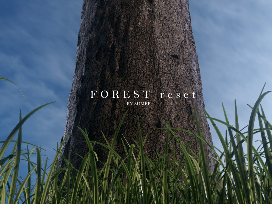 Forest_横丨撇丶折-站酷ZCOOL