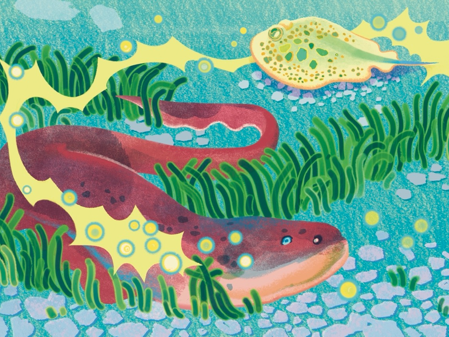 动物如何利用物理求生_吞噬巨兽xuanillu-站酷ZCOOL