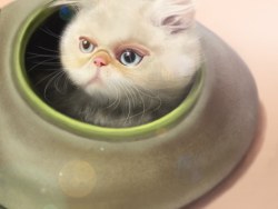 喵~~~~~~~~_Daisy_Guo-站酷ZCOOL