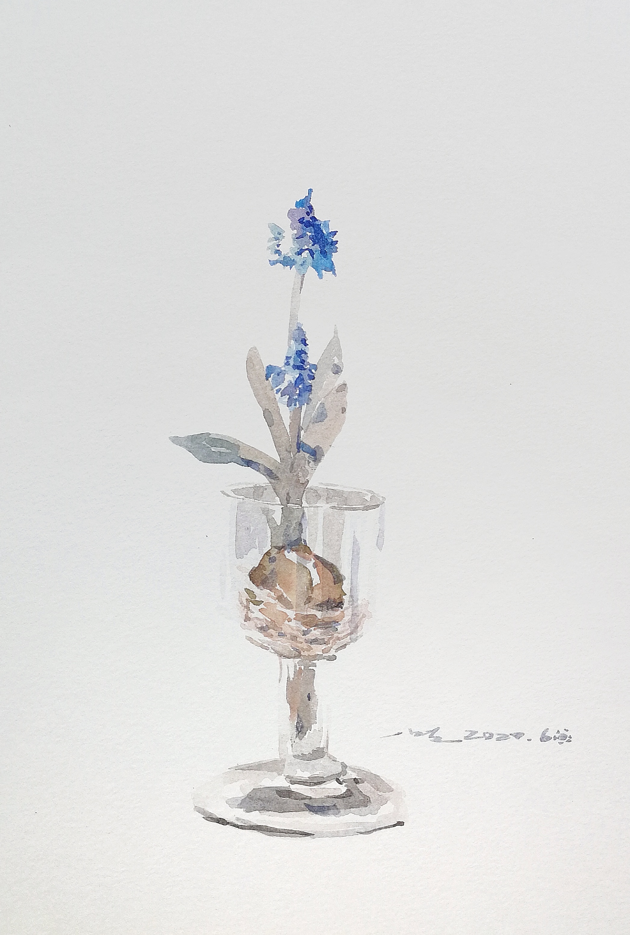 玻璃杯里的花花_汤圆酱zi-站酷ZCOOL