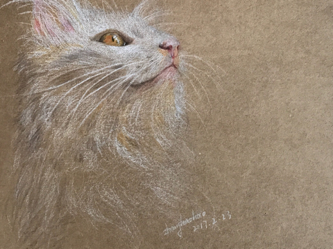 漂亮大人_张好好好好好好-站酷ZCOOL