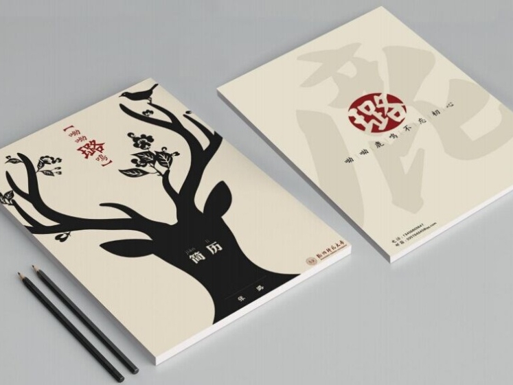 帮傲娇女友做的简历_叮叮Duang-站酷ZCOOL