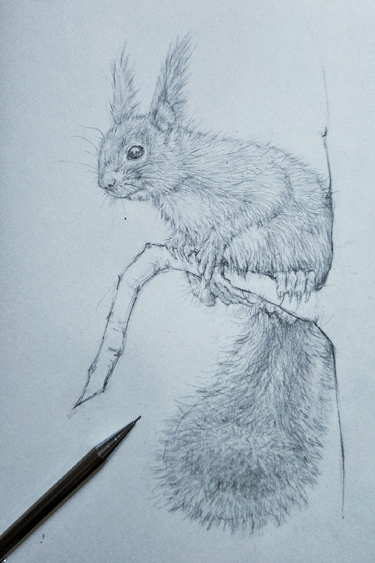 插画_叶靓790508-站酷ZCOOL